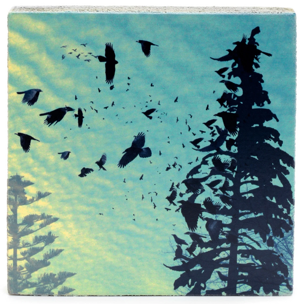 Cedar Mtn- Shape Shifting Block – Heartstrings Home Decor & Gifts